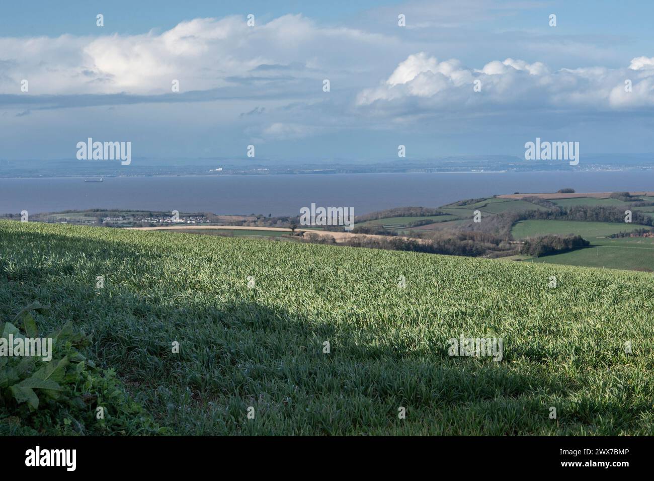 Wales and Bristol Channel from North Devon, England, United Kingdom ...
