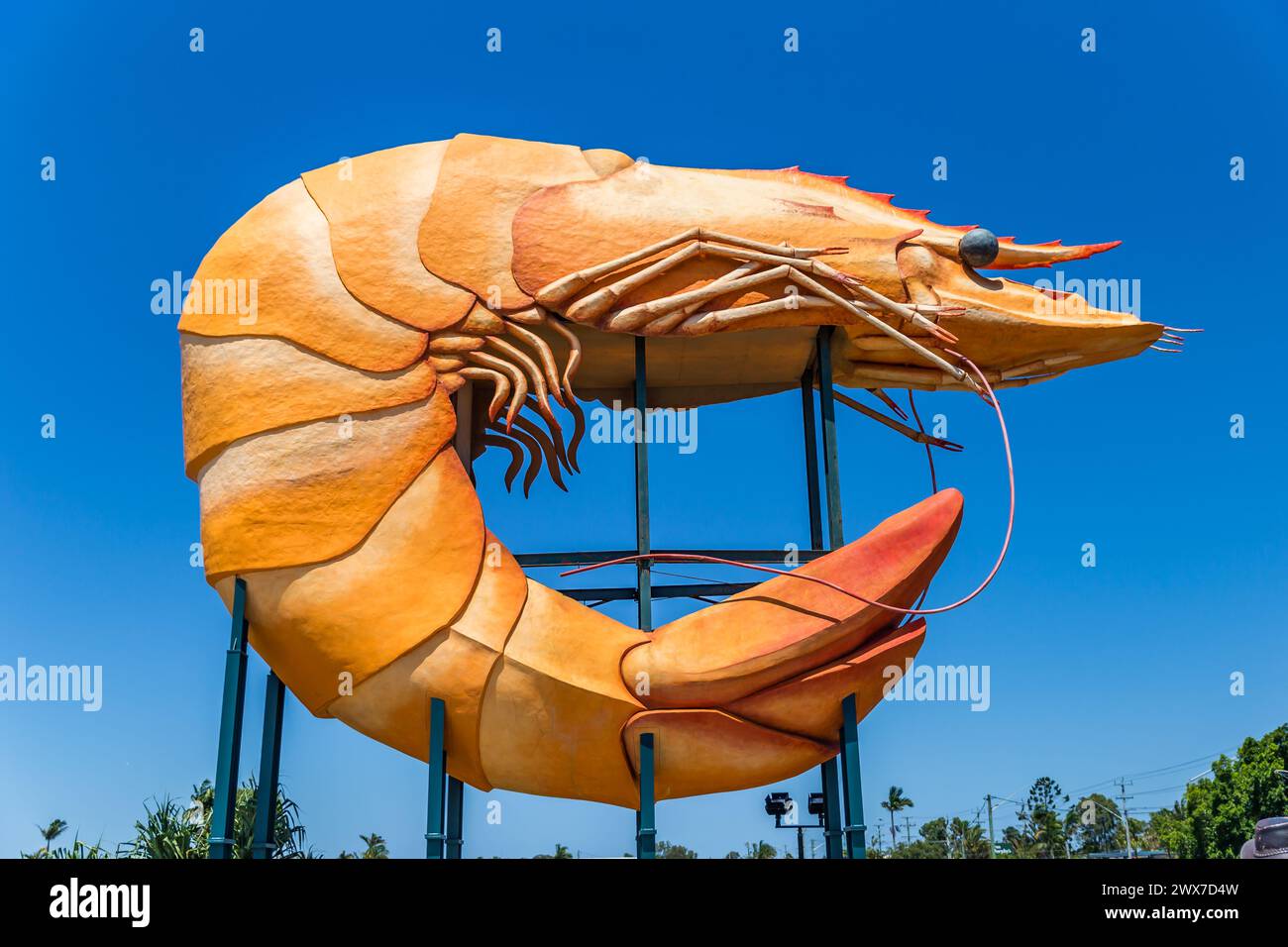 Big Prawn Sculpture and Tourist Attraction of Ballina, New South Wales ...