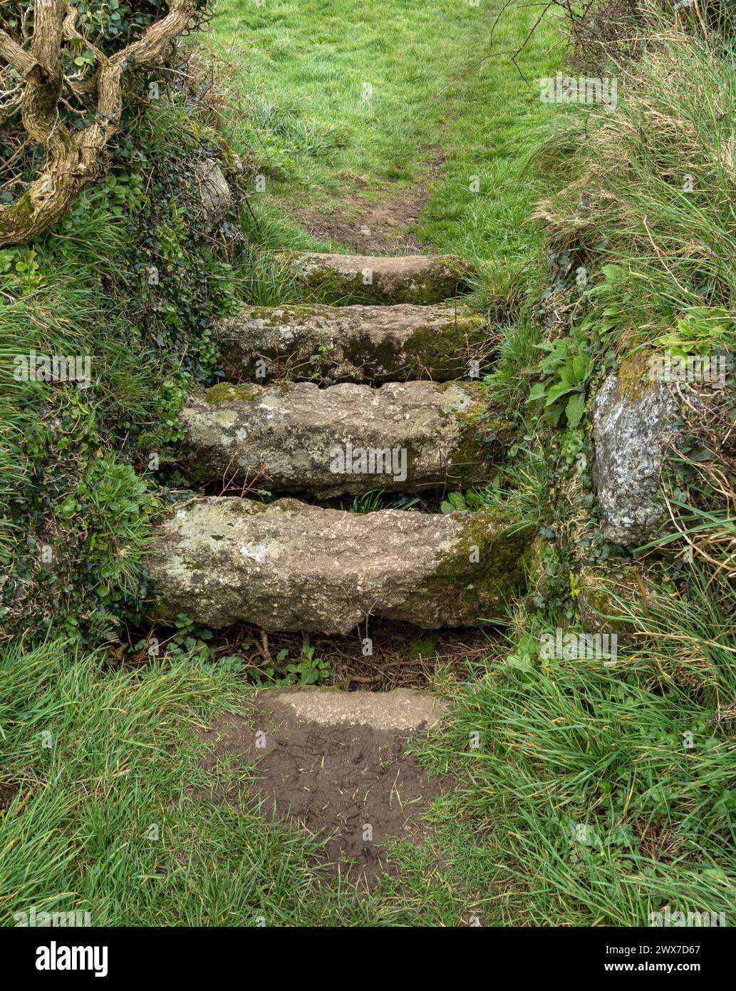 Ancient / old stone cattle grid made from Cornish granite on footpath ...