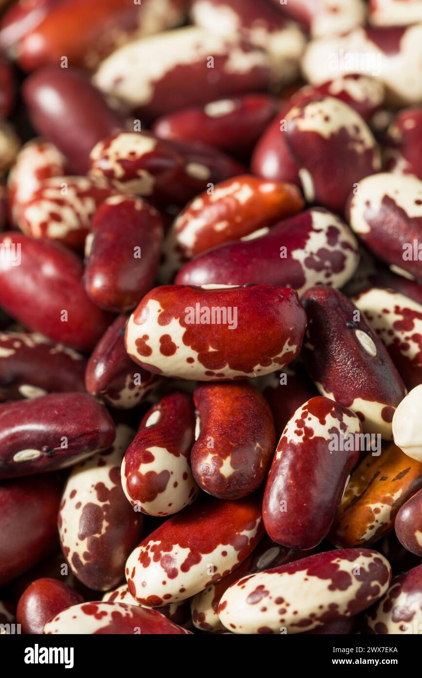 Cow beans hi-res stock photography and images - Alamy