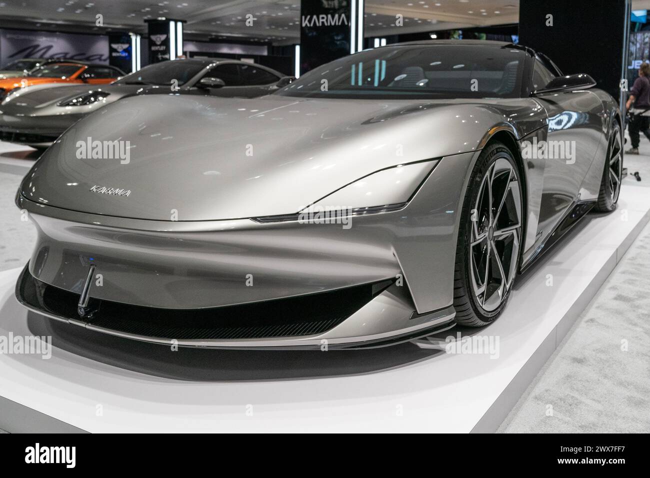 New York, USA. 27th Mar, 2024. Karma Kaveya on display during ...