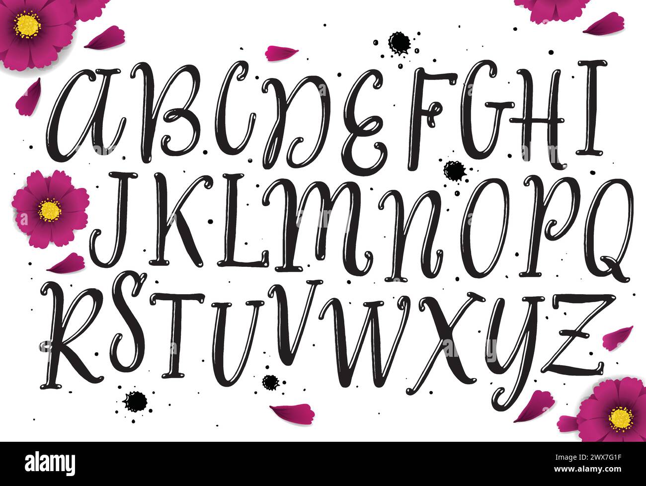 Lettering font isolated on white background. Texture alphabet. Vector ...