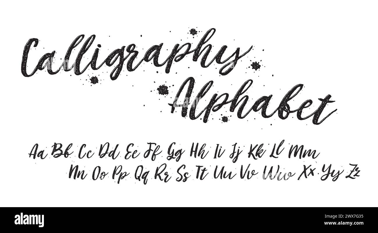 Vector hand drawn alphabet isolated on white background. Brush painted ...