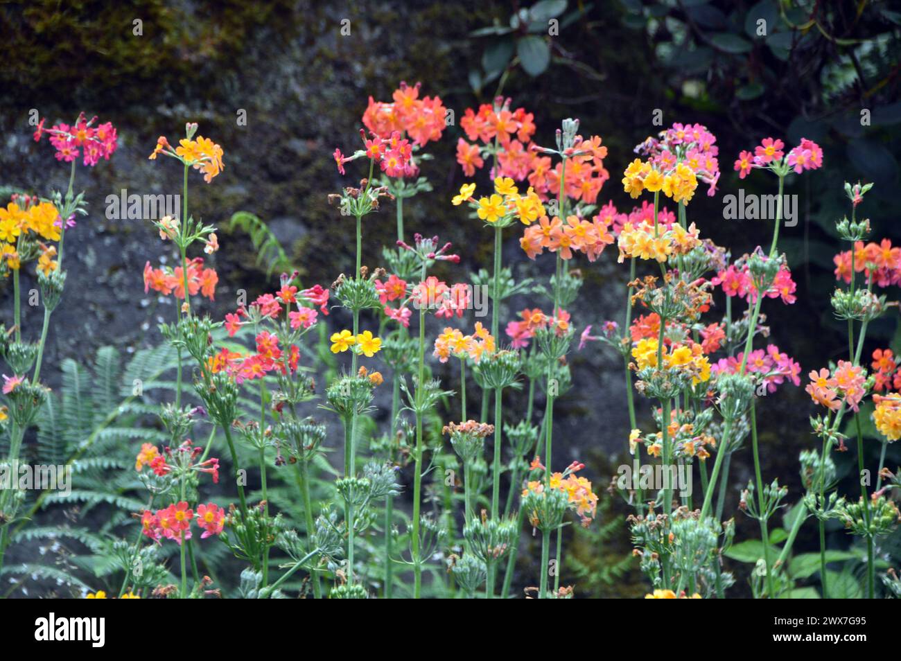 Rainbows mix hi-res stock photography and images - Alamy