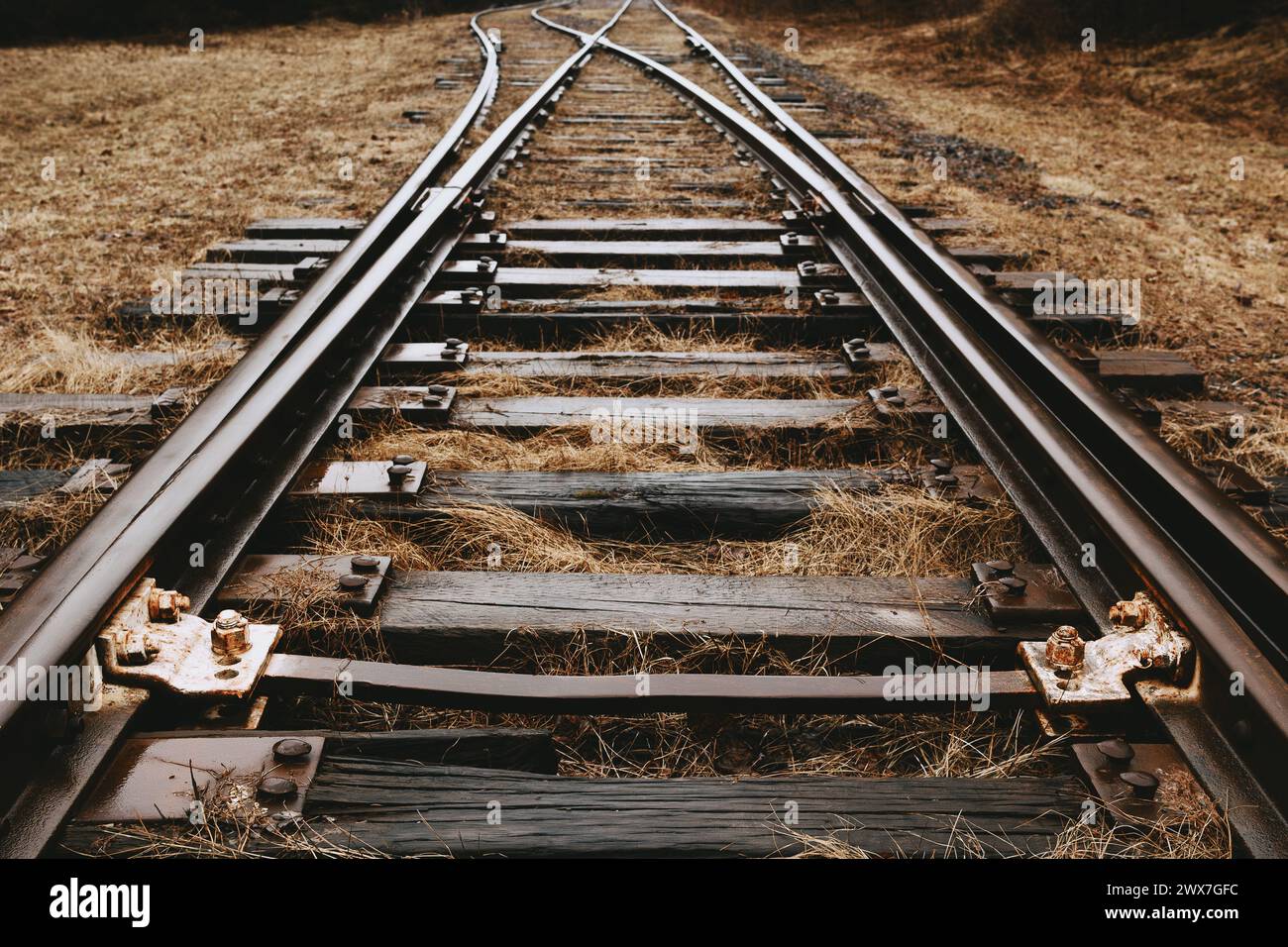 Low angle perspective of rural railway or railroad tracks Stock Photo ...