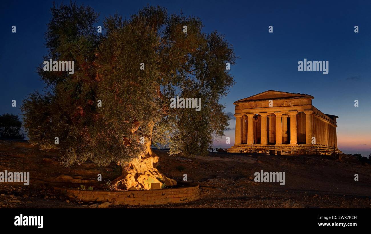 Europe, Italy, Sicily, the Temple of Concordia in Agrigento by night ...
