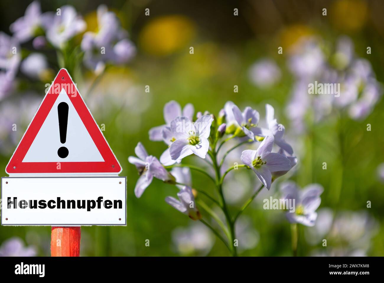 Tree pollen allergy risk hi-res stock photography and images - Alamy