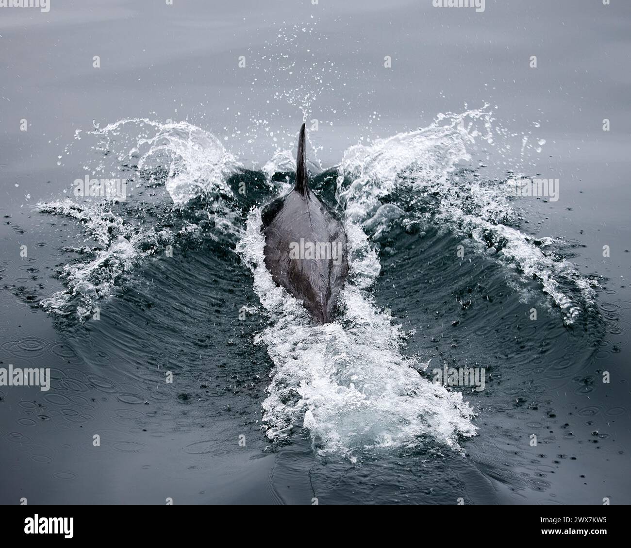 Symmetrical waves hi-res stock photography and images - Alamy