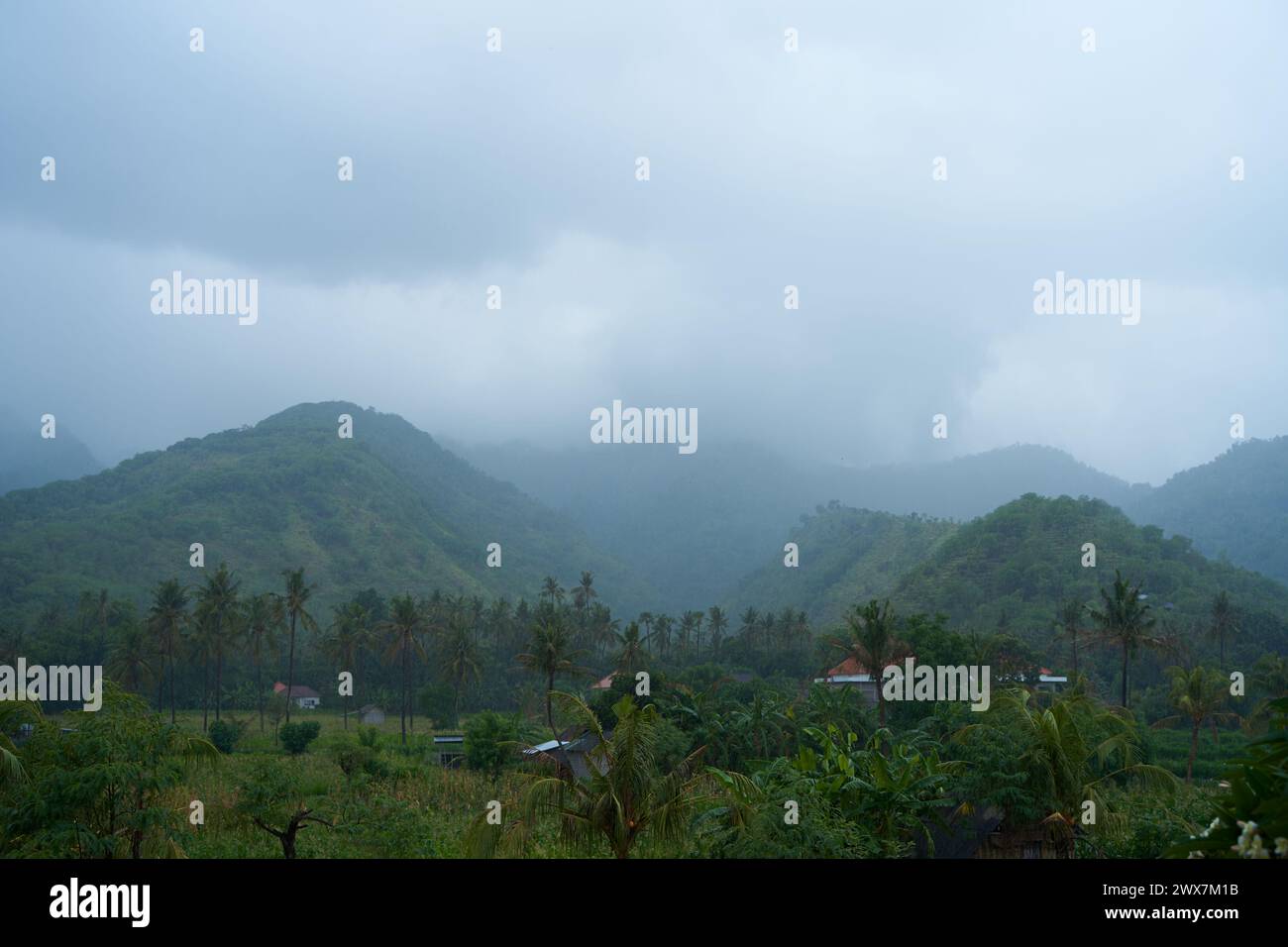 A tropical rainstorm in a rice field with cascading mountains and palm ...