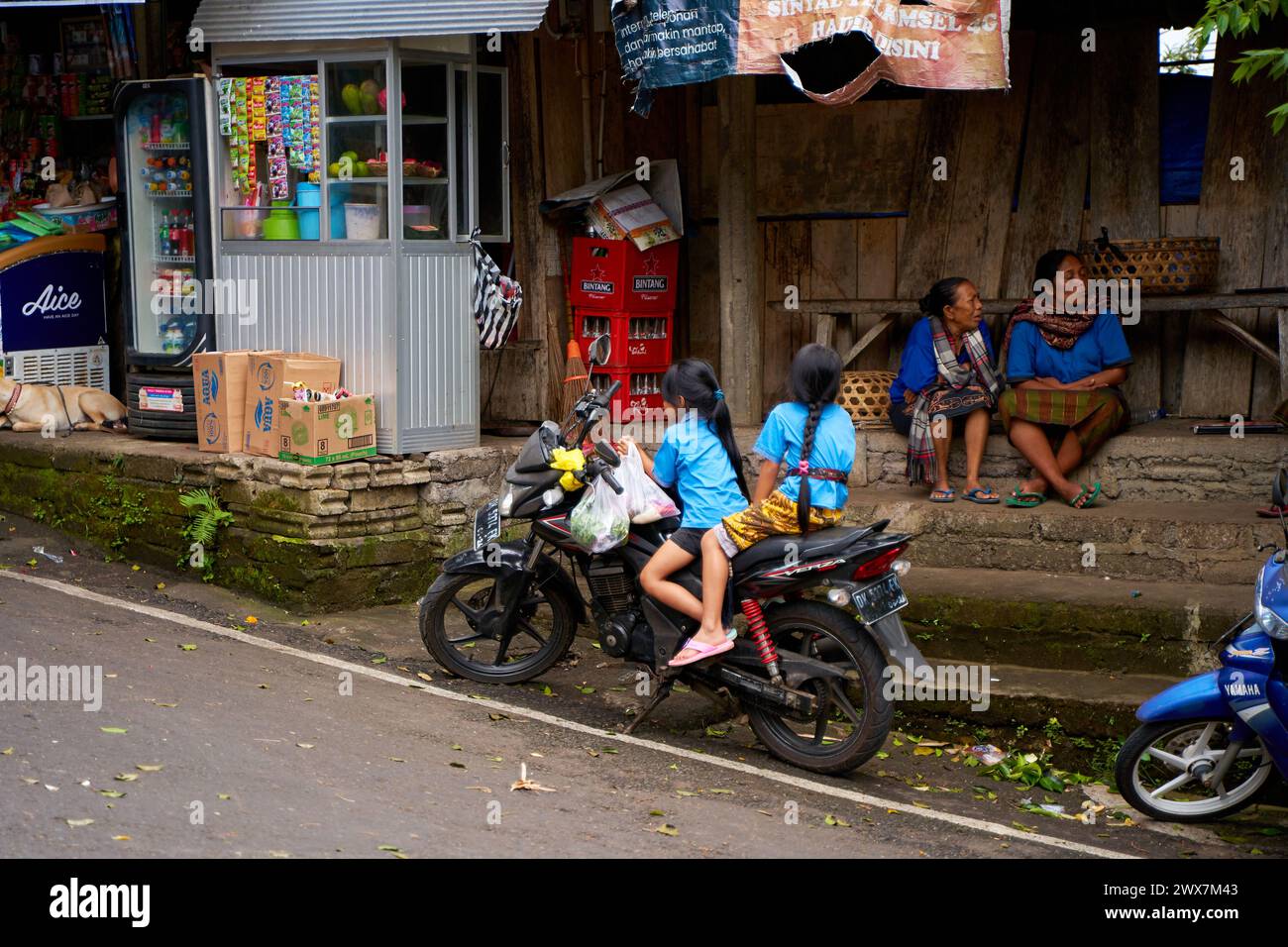 Children ride a scooter without helmets on a road in a village in Asia ...