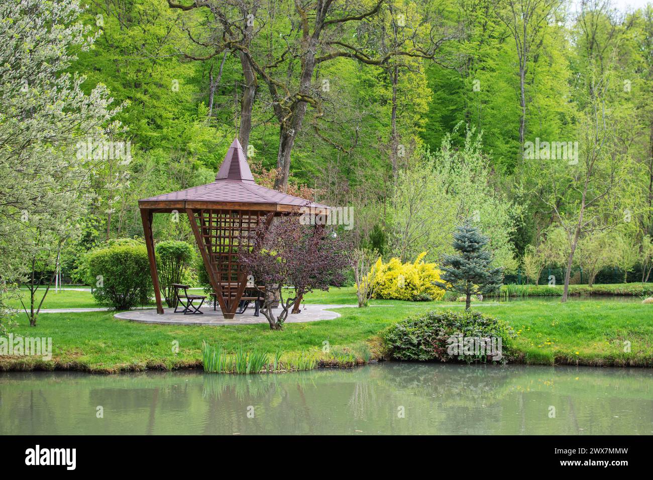 The beautiful view of the park with the trees, green grass field ...