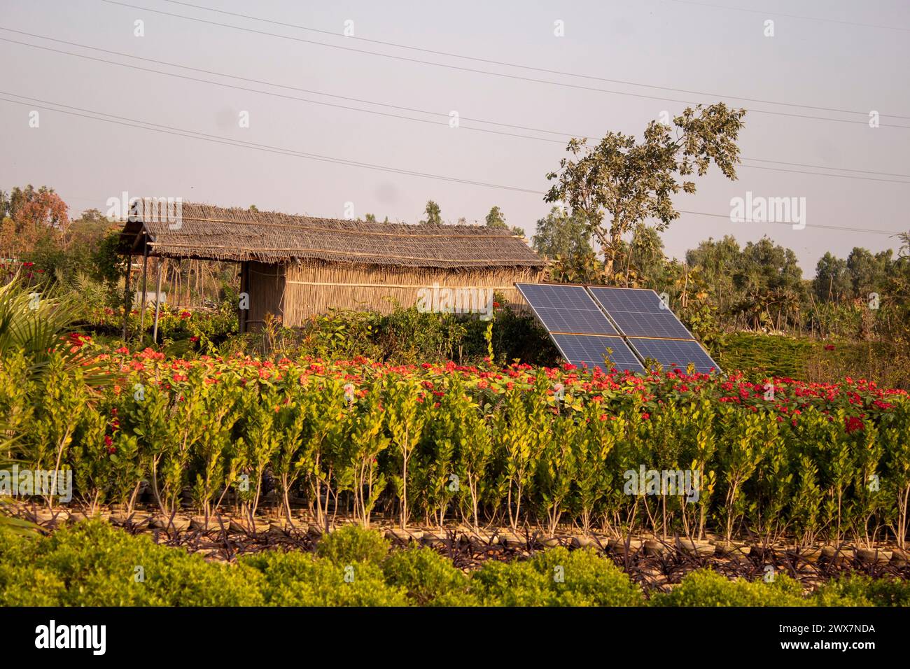 Eco hut with solar panels hi-res stock photography and images - Alamy