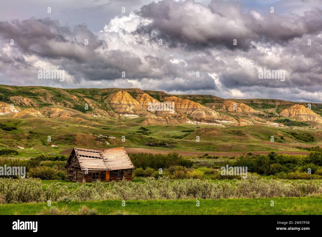 Old abandoned homestead overlooking the East End of the Cypress Hills ...