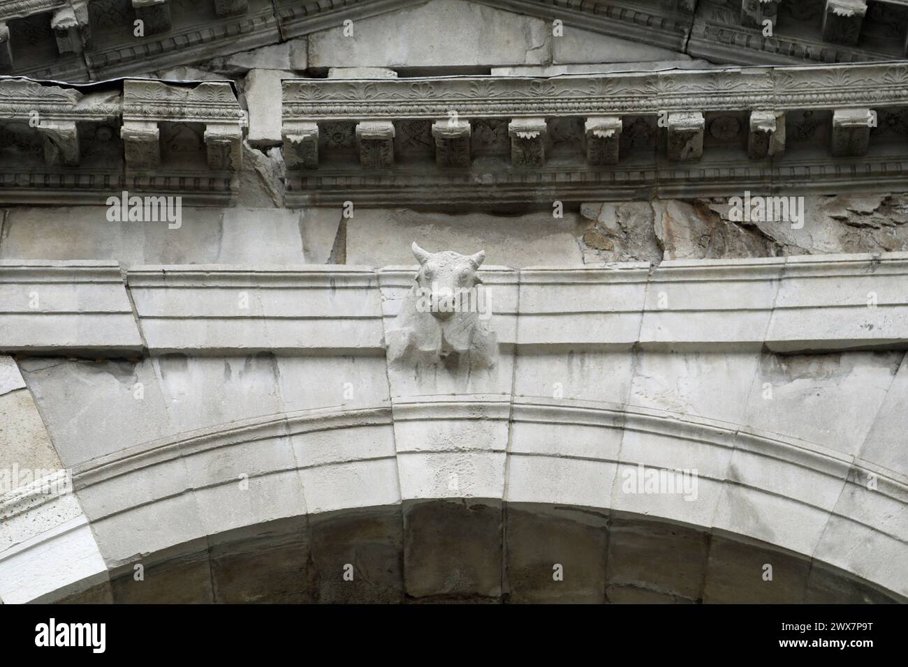 Keystone bull on the Arch of Augustus in Rimini Stock Photo - Alamy