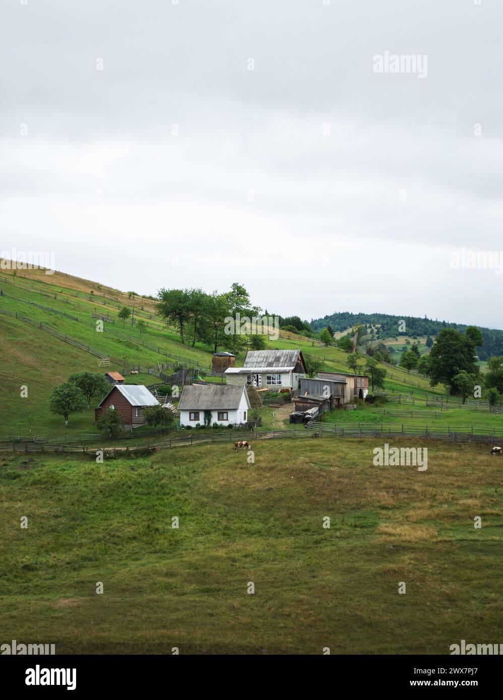 Traditional ukrainian houses in mountain village in summer. Mountain ...