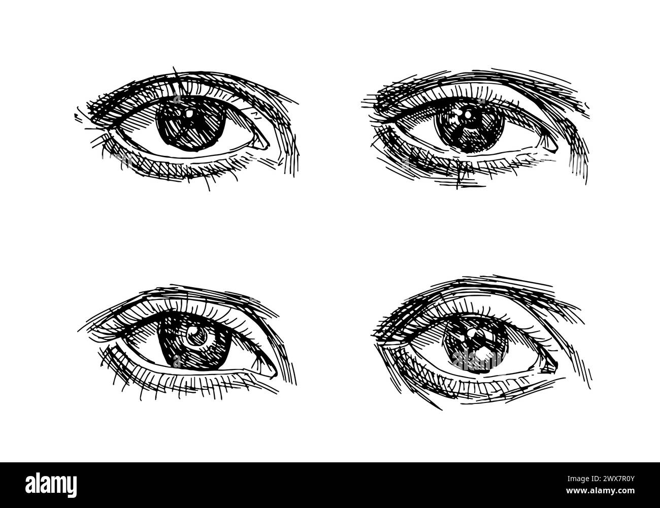Sketch engraving style. Hand drawn vintage female eye. Vector in sketch ...