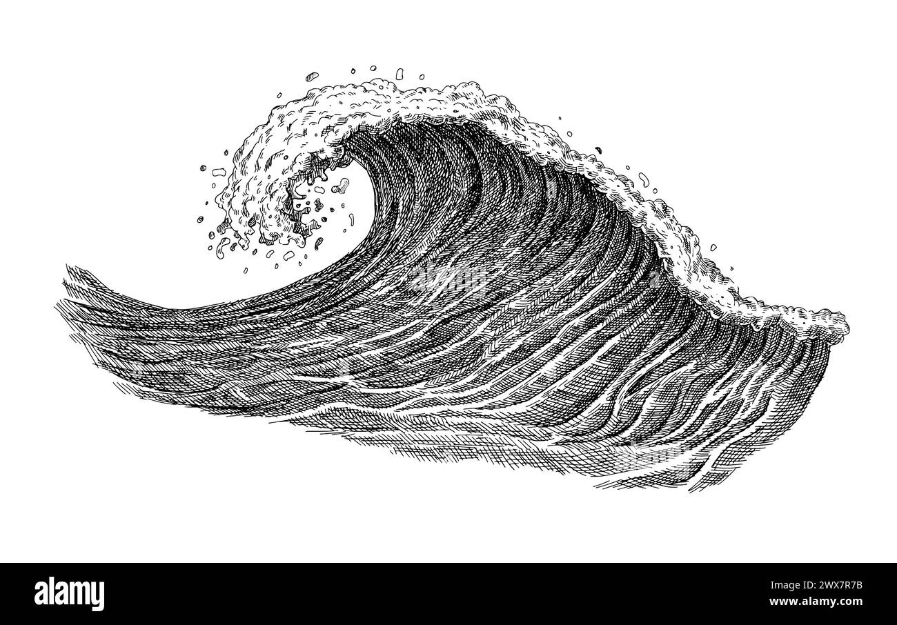 Sea wave sketch. Hand drawn ocean tidal storm waves isolated on white ...