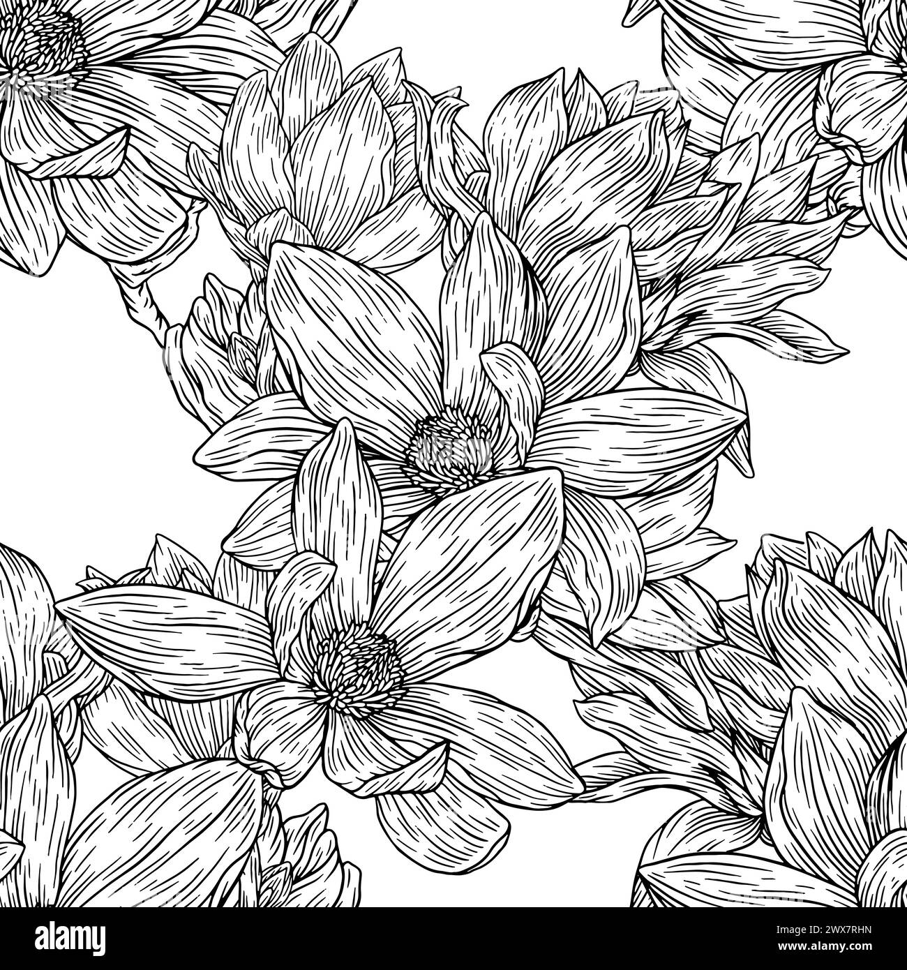 Flowers Seamless Pattern . Line Magnolia Illustrations. Vintage ...
