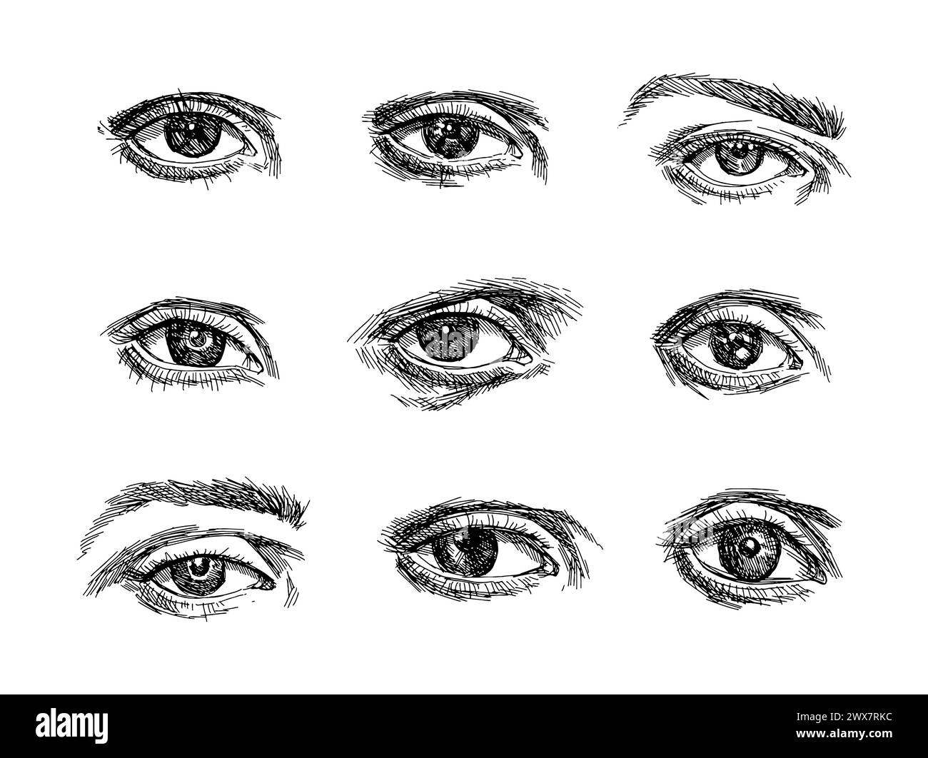 Sketch engraving style. Hand drawn vintage female eye. Vector in sketch ...