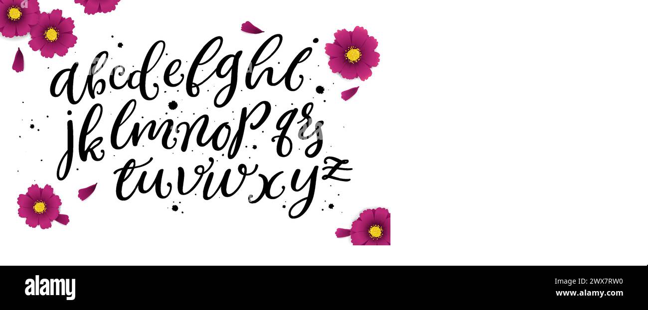 Vector hand drawn alphabet isolated on white background. Brush painted ...