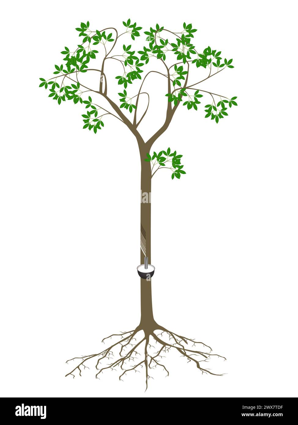 Extracted oil Stock Vector Images - Alamy