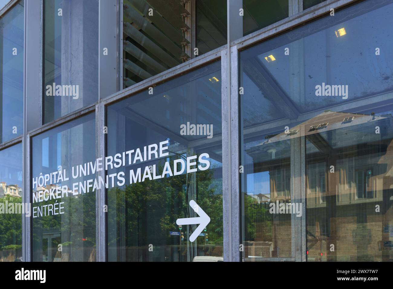 France, Ile de France region, Paris 15th arrondissement, rue de Sèvres ...