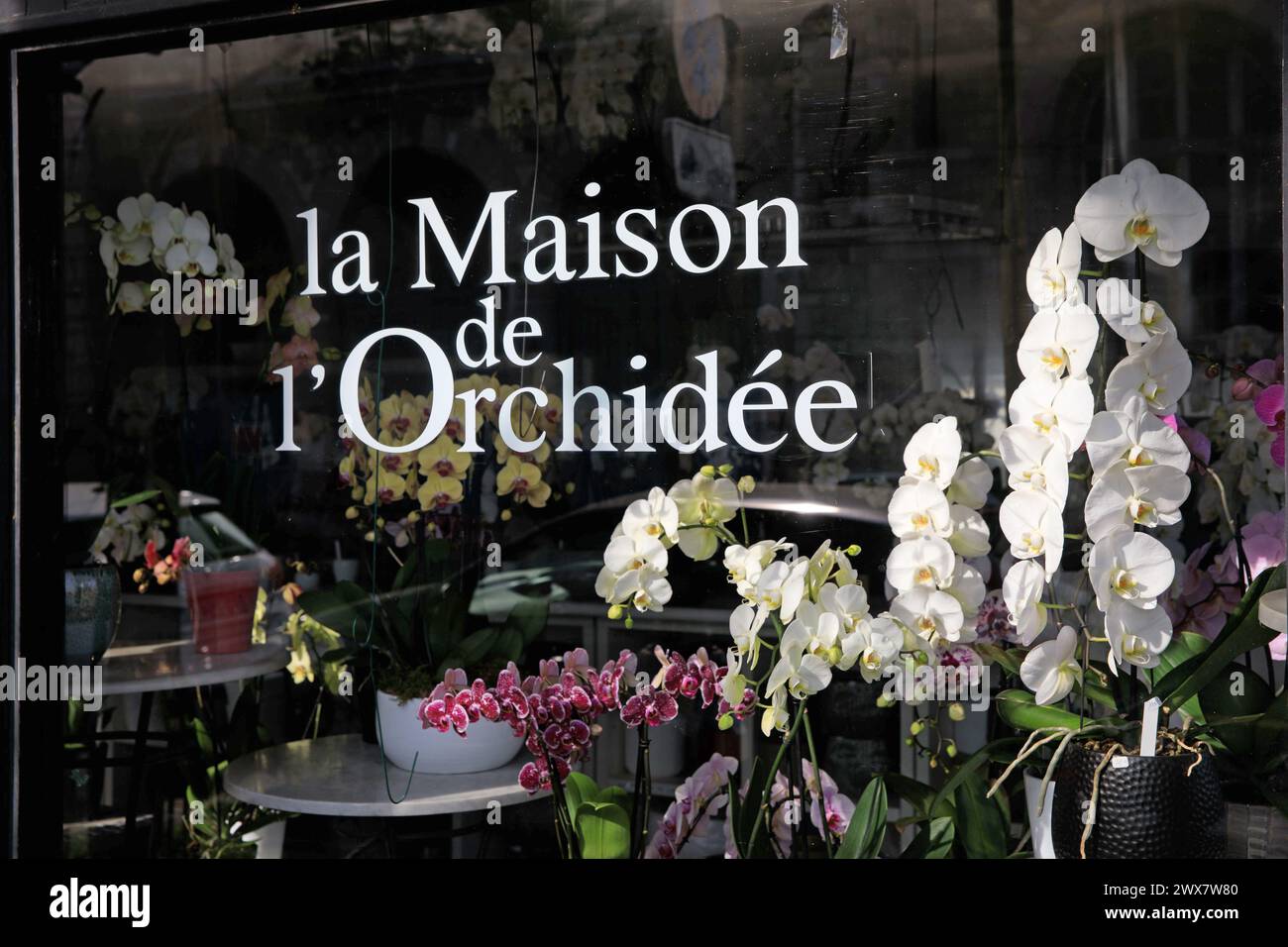 La maison de la reine elizabeth ii hi-res stock photography and images ...