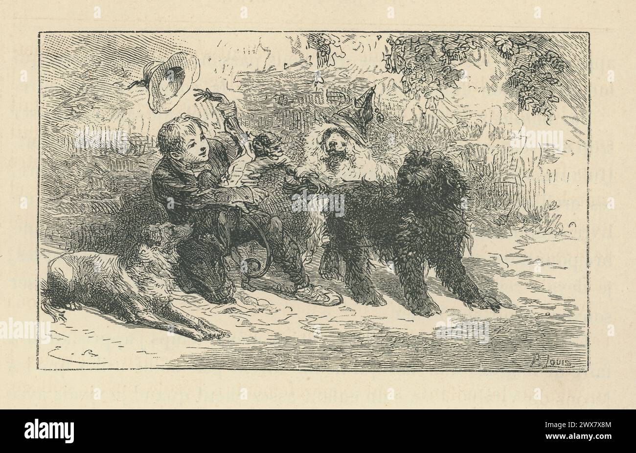 Rémi and the animals of Signor Vitalis' troupe: the dogs Capi, Dulcie ...