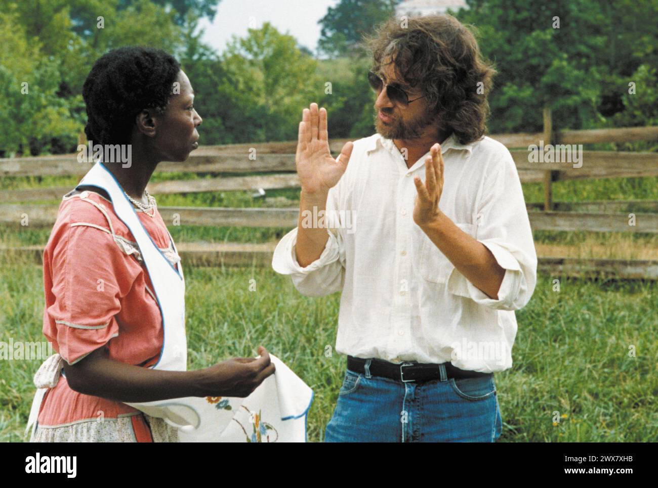 The Color Purple Year: 1985 USA Director : Steven Spielberg Steven ...