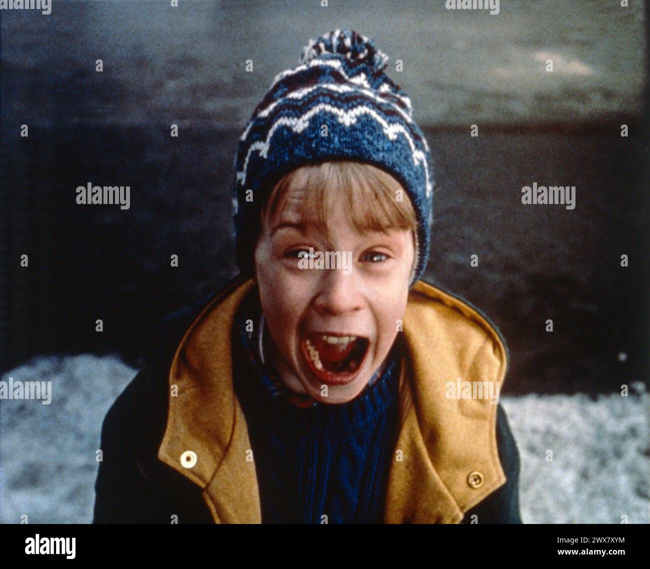 Home alone 2 movie hi-res stock photography and images - Alamy