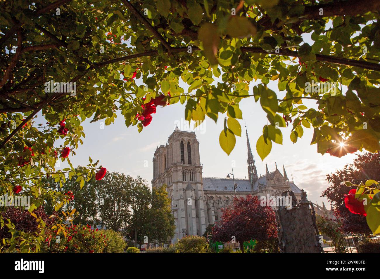 Paris, René Viviani public park, in front of Notre-Dame de Paris ...