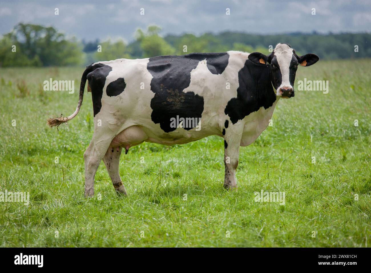 Prim hotel hi-res stock photography and images - Alamy