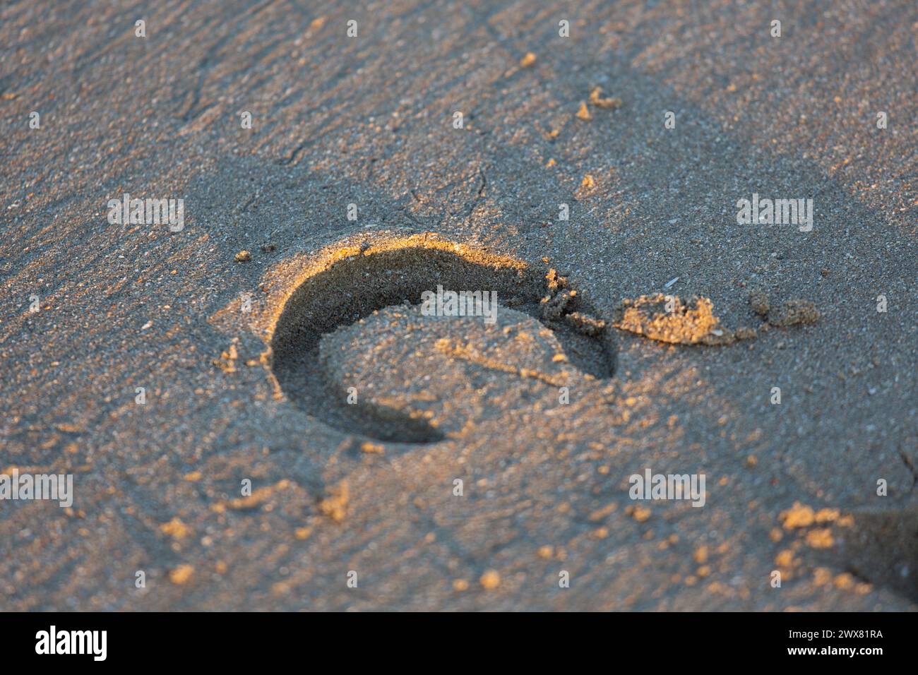 France, Normandy region (Normandie), Calvados, the Côte Fleurie ...