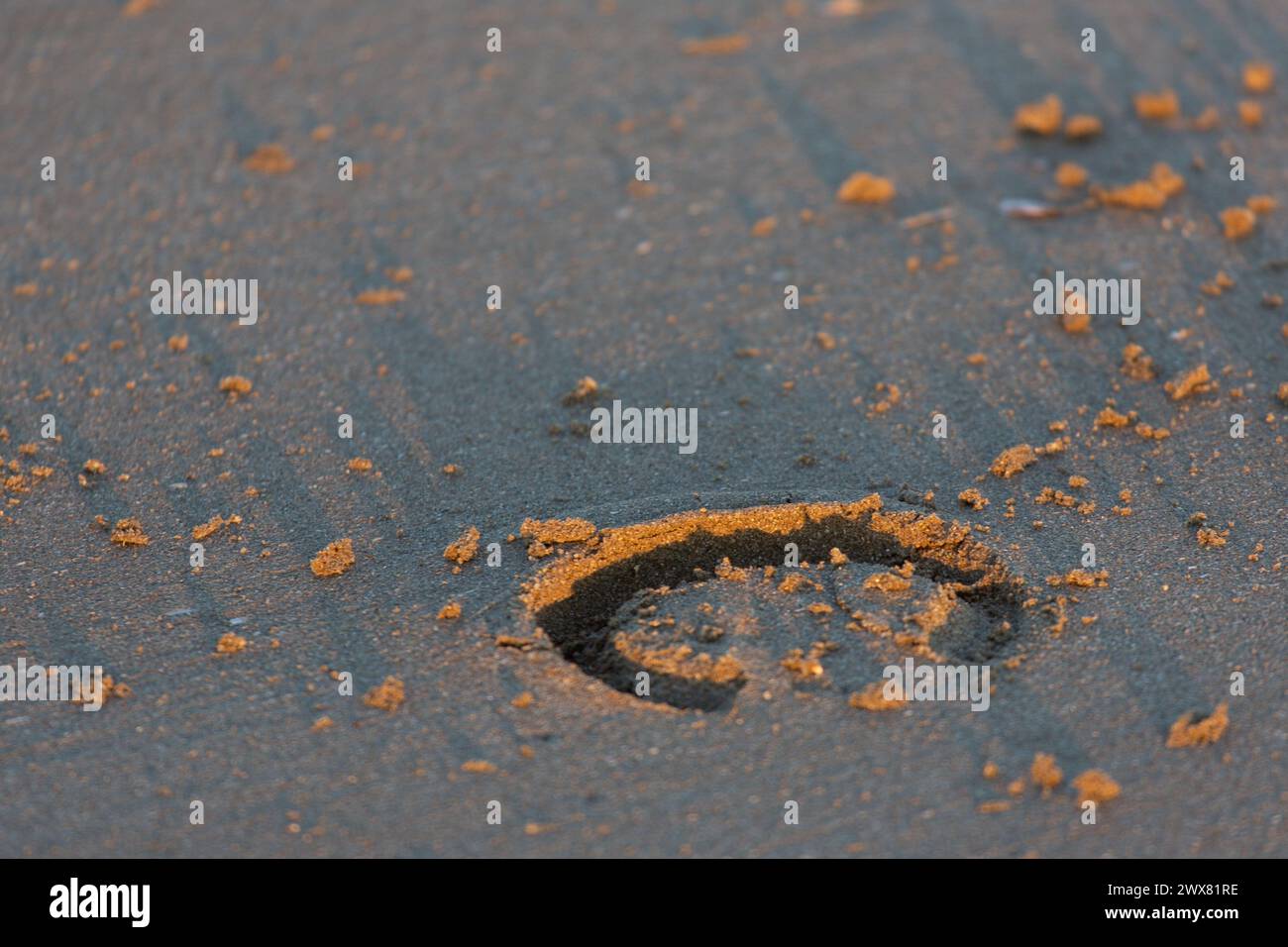 France, Normandy region (Normandie), Calvados, the Côte Fleurie ...