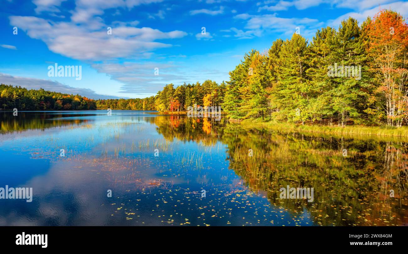 Vibrant trees and landscape by the lake. Nova Scotia, Canada Stock ...