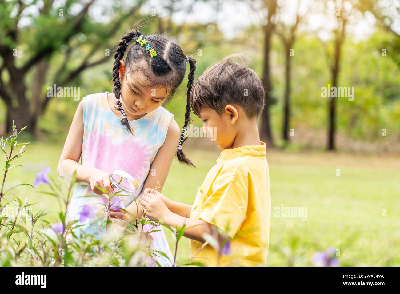 Kids explore flowers in park grass during daylight Stock Photo - Alamy
