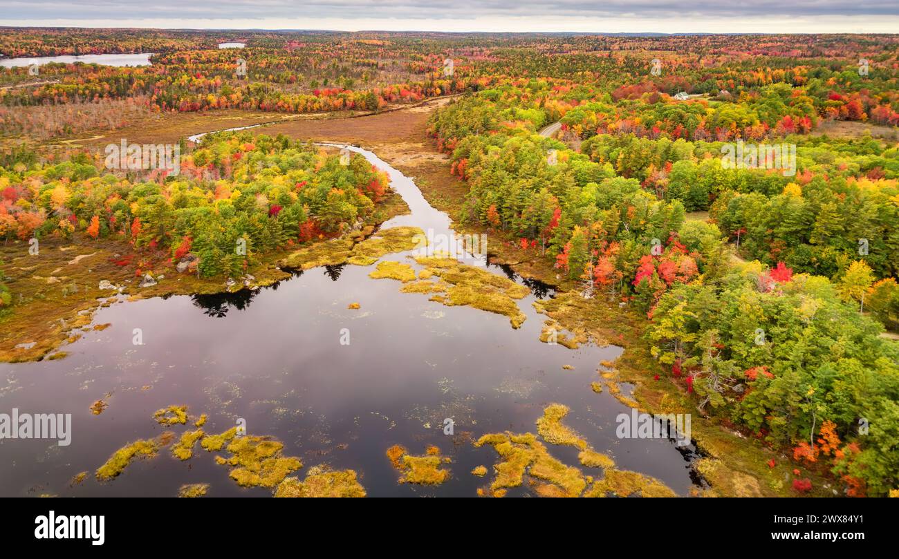 Vibrant trees and landscape by the lake. Nova Scotia, Canada Stock ...