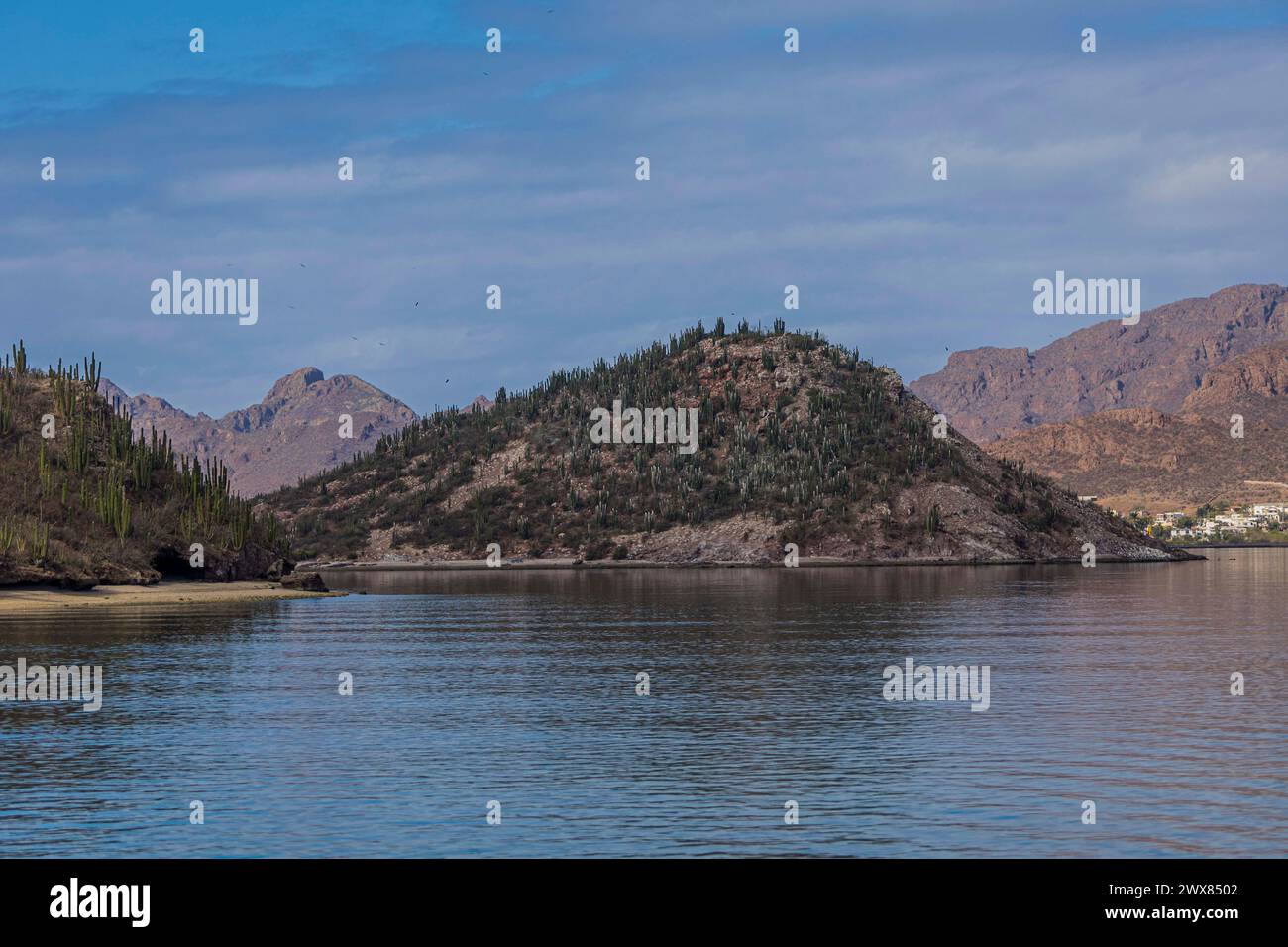Isla Almagre chico en la bahía de Guaymas Sonora 2004. (Photo by Luis ...