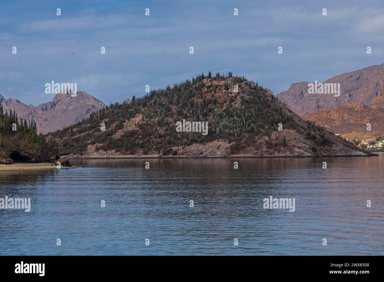 Isla Almagre chico en la bahía de Guaymas Sonora 2004. (Photo by Luis ...