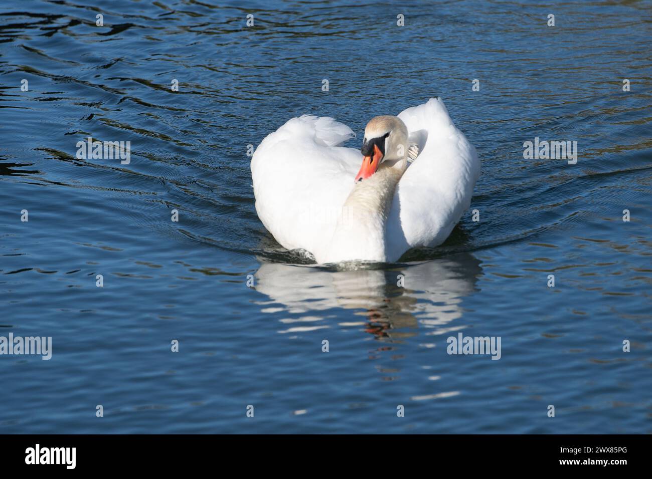 Cob valley images hi-res stock photography and images - Alamy