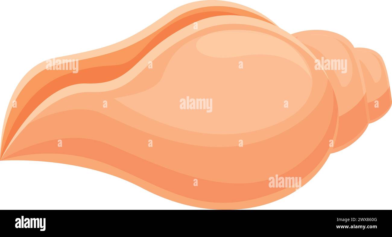 Raw conch icon cartoon vector. Marine sea shell. Art label decoration ...