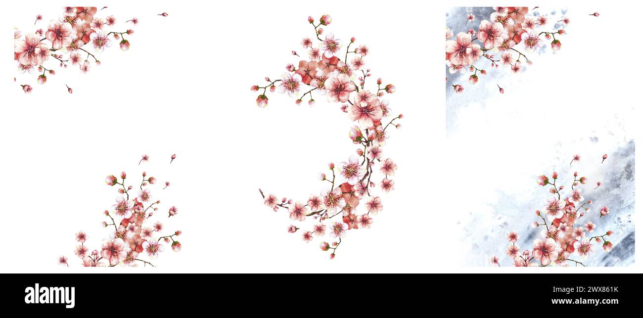 Branch from spring sakura, cherry tree Card, wreath template ...