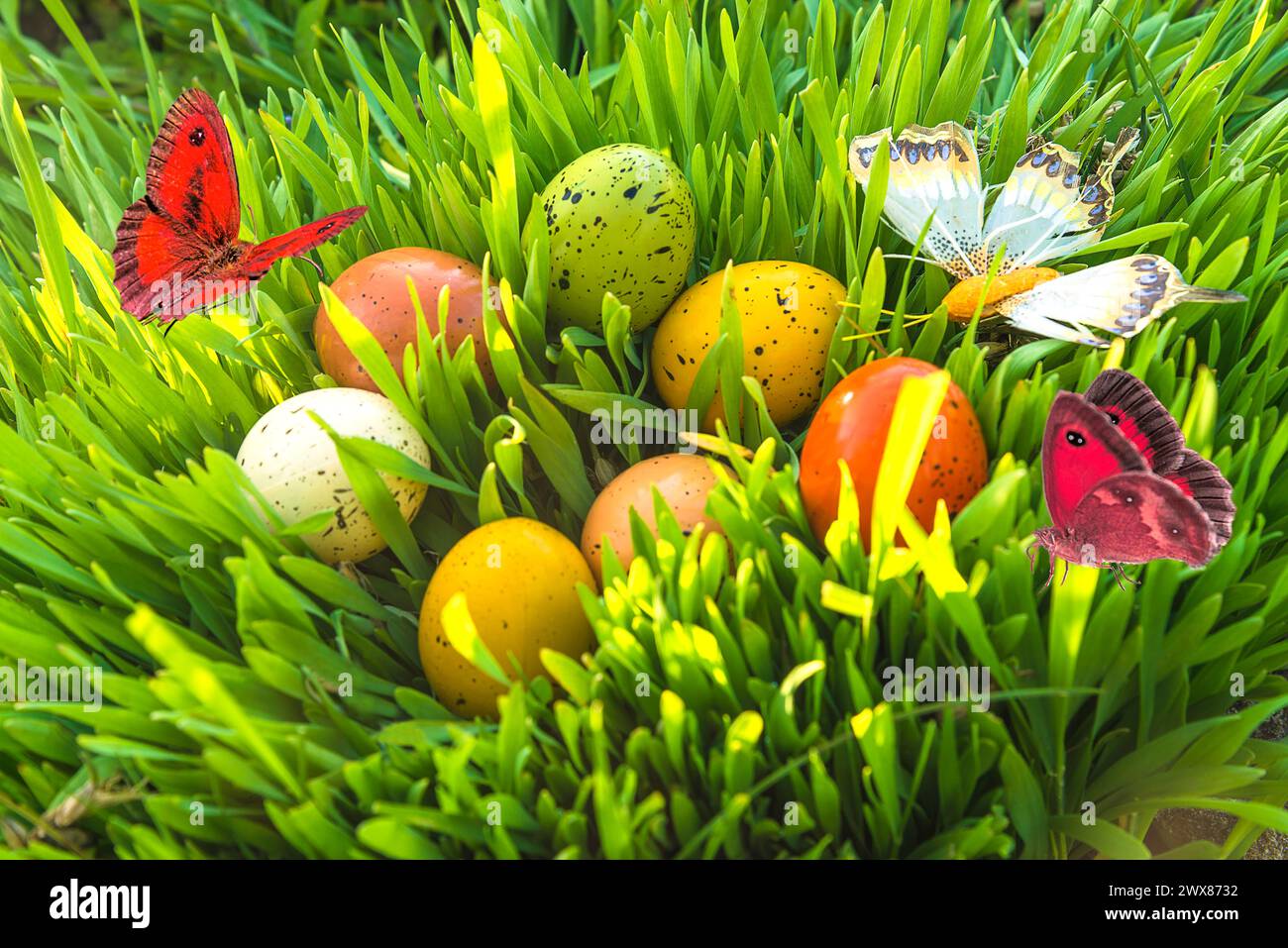 Summer meadow with flying butterflies and easter eggs in green grass ...