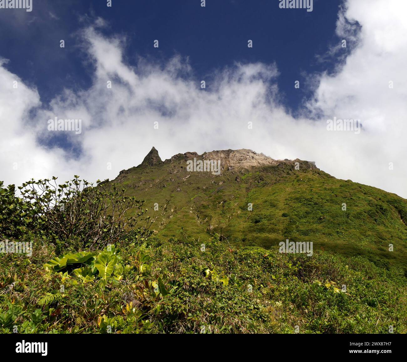 Sismic activity hi-res stock photography and images - Alamy