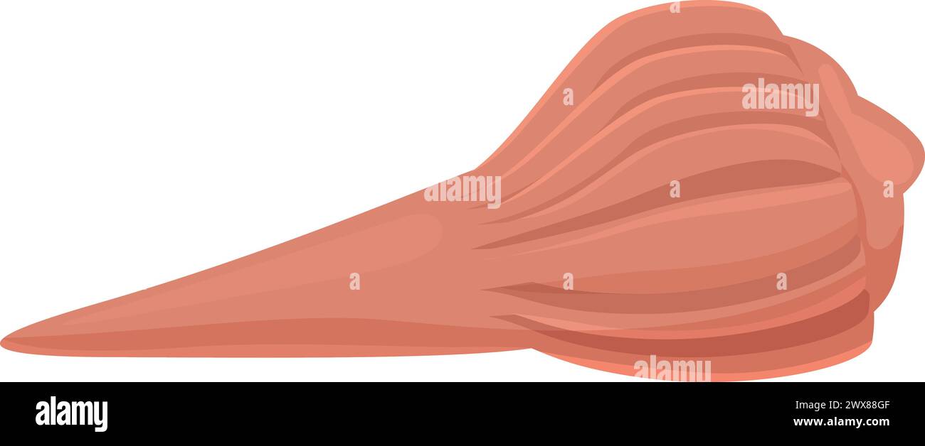 Small conch animal icon cartoon vector. Sea food ingredient. Sea shell ...