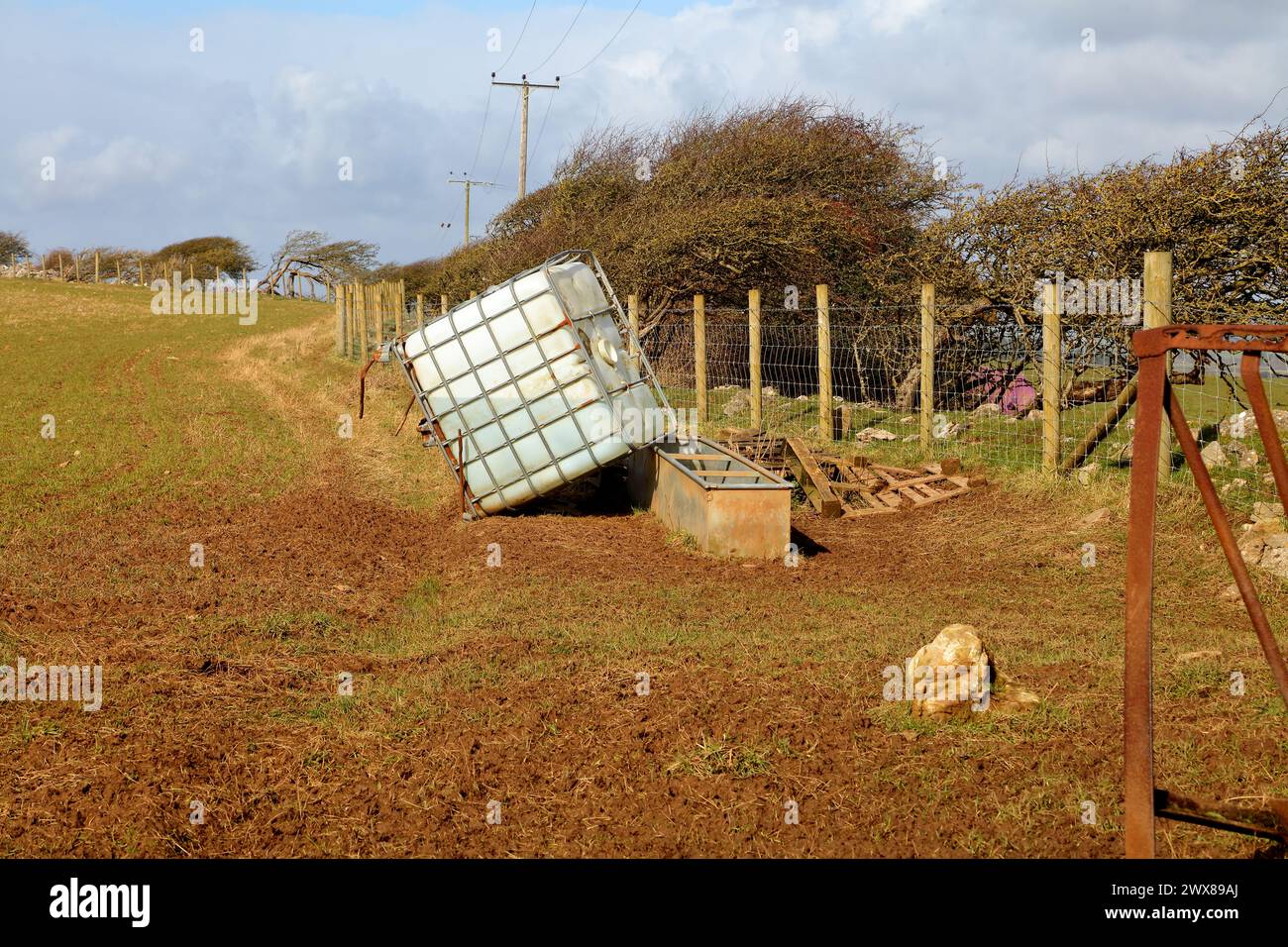 Delivering water to the trough hi-res stock photography and images - Alamy