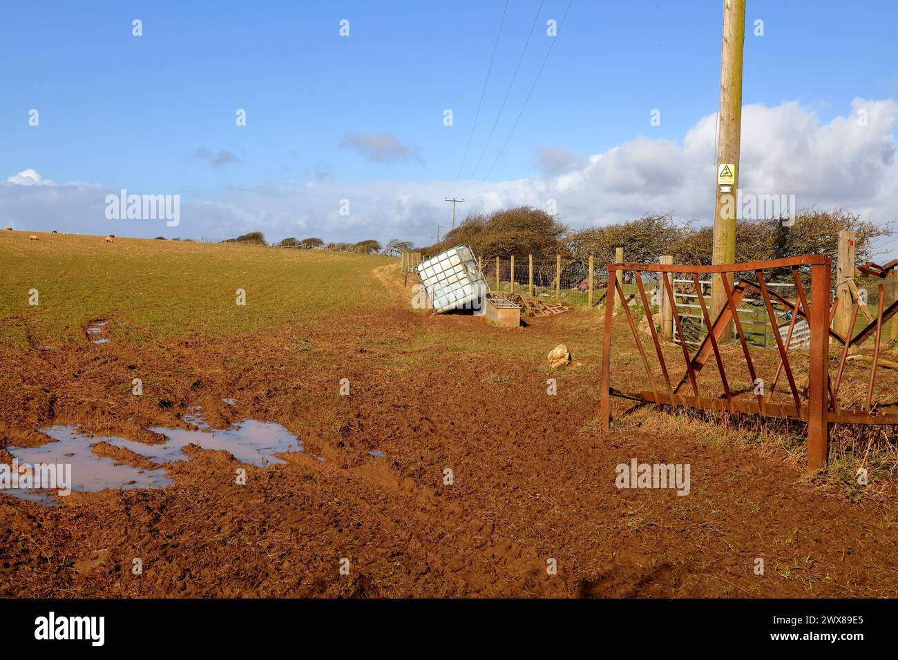 Trough filler hi-res stock photography and images - Alamy