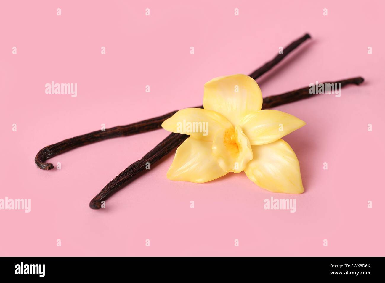 Beautiful vanilla flower and sticks on pink background Stock Photo - Alamy