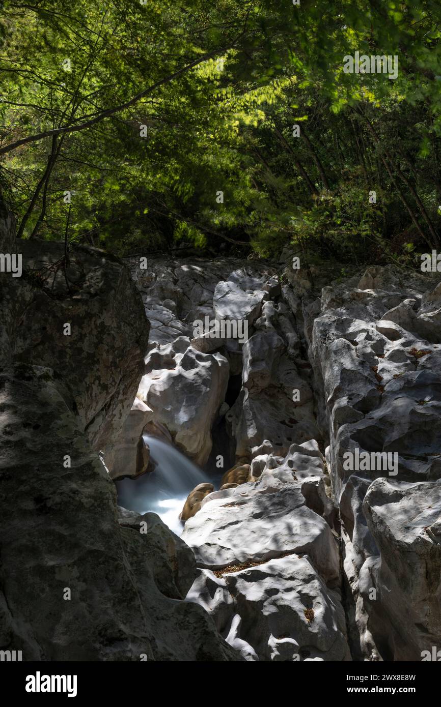 Felitto hi-res stock photography and images - Alamy