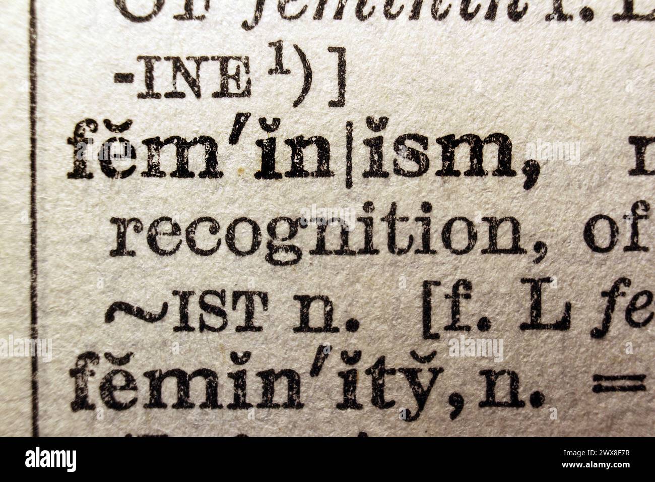 Inclusion movement hi-res stock photography and images - Alamy